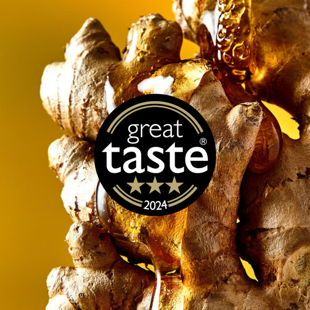 Mother Root Ginger | Award Winning Alcohol-Free Aperitif – MOTHER ROOT