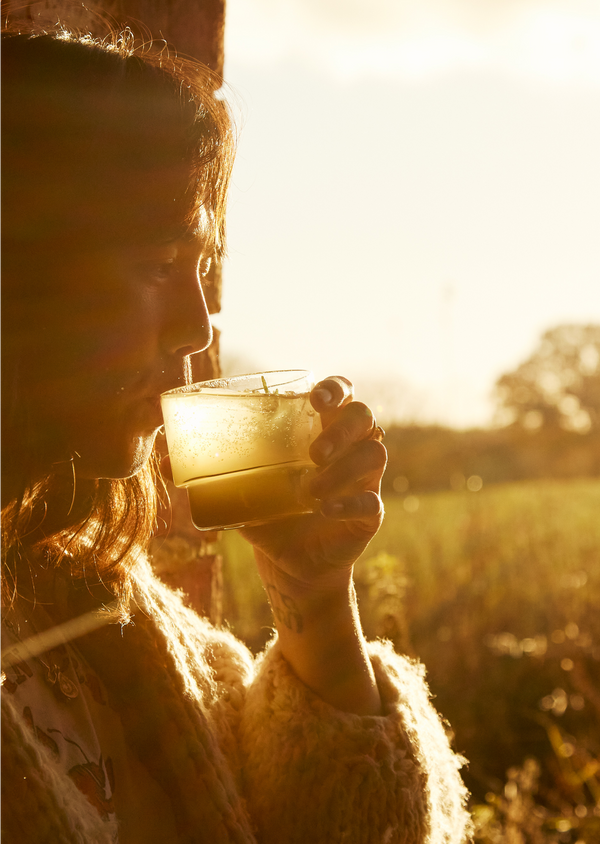 Mother Root Ginger | Award Winning Alcohol-Free Aperitif – MOTHER ROOT